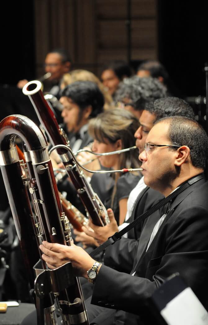 Fagot - InstrumentosClasicos